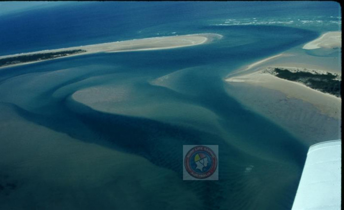 SHALLOW INLET ISLAND - Beach in Manns Beach Wellington VIC - SLS Beachsafe