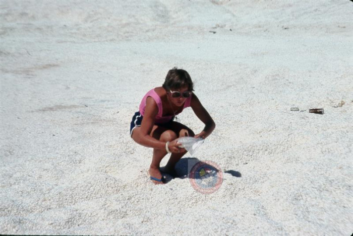 Shell Beach - Beach in Nanga Shark Bay WA - SLS Beachsafe