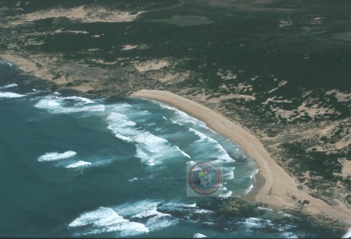 SHELLY - Beach in Dennington Warrnambool VIC - SLS Beachsafe