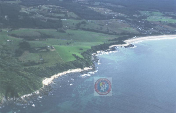 SHELLY - Beach in Red Head Greater Taree NSW - SLS Beachsafe