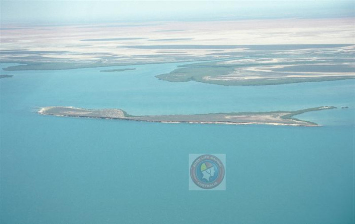 Simpson Island (W) - Beach in Learmonth Exmouth WA - SLS Beachsafe