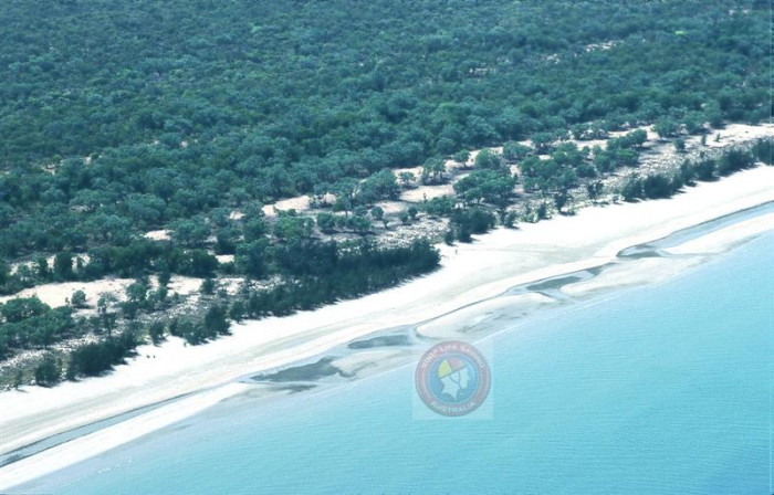 Skardon R (S 2) - Beach in Mapoon Mapoon (Aboriginal) QLD - SLS Beachsafe