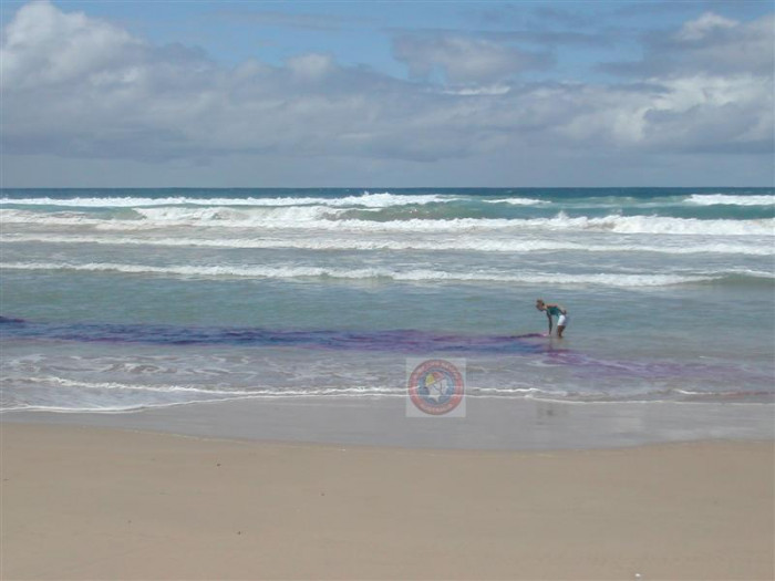BHERWERRE - Beach in Sussex Inlet Shoalhaven NSW - SLS Beachsafe