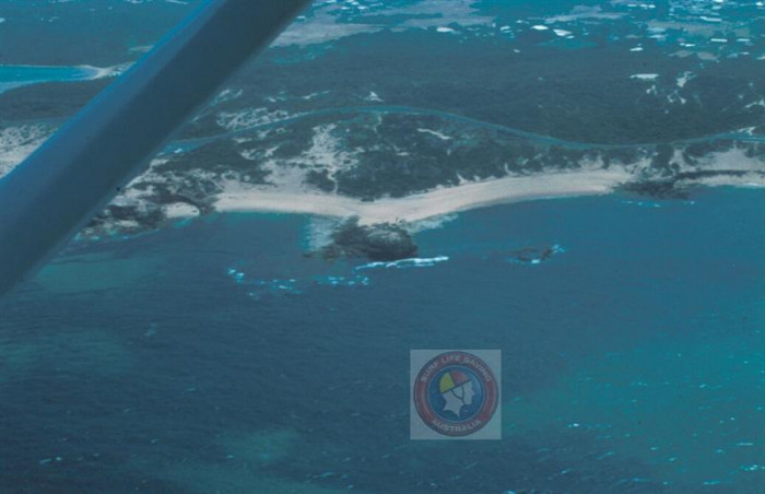 Snapper Point (west) - Beach in Beachport Wattle Range SA - SLS Beachsafe