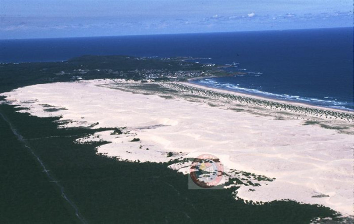 Stockton Beach - Beach in Salt Ash Port Stephens NSW - SLS Beachsafe