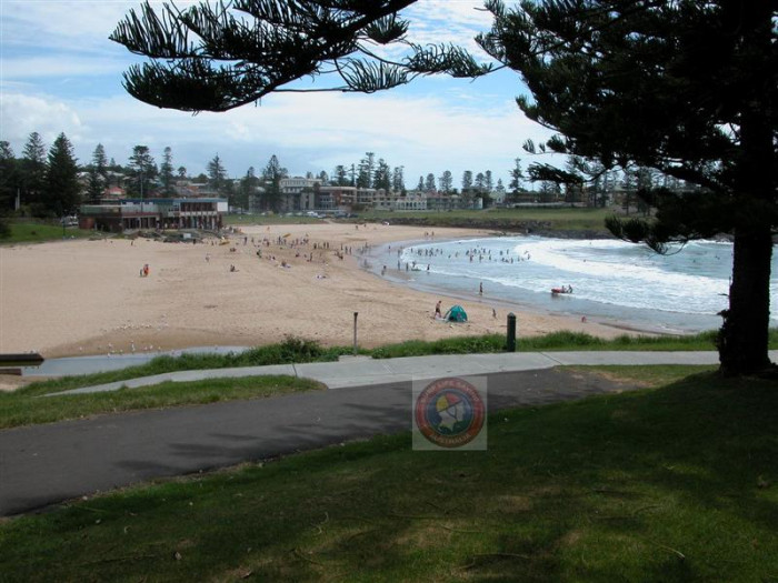 SURF - Beach in Kiama Kiama NSW - SLS Beachsafe