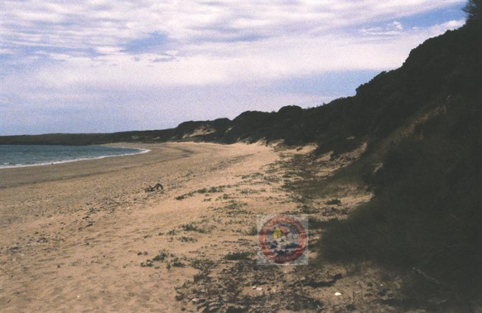 Tam O'Shanter Bay - Beach in Lulworth George Town TAS - SLS Beachsafe