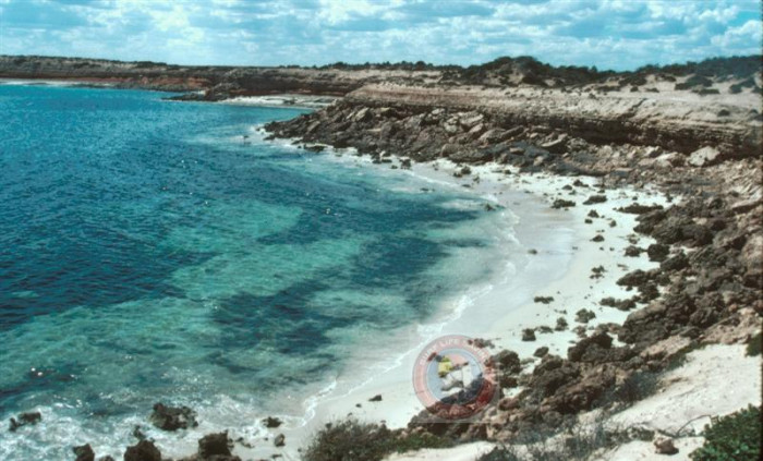 The Bamboos (point 3) - Beach in Balgowan Yorke Peninsula SA - SLS ...