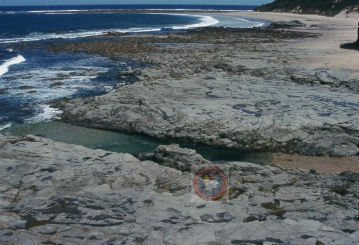 THE CHANNEL - Beach in Cape Paterson Bass Coast VIC - SLS Beachsafe