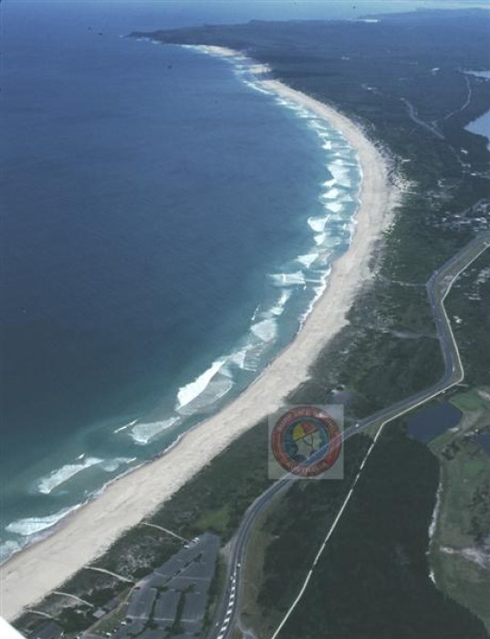 Birdie / Budgewoi / Lakes - Beach in Budgewoi Peninsula Wyong NSW - SLS ...