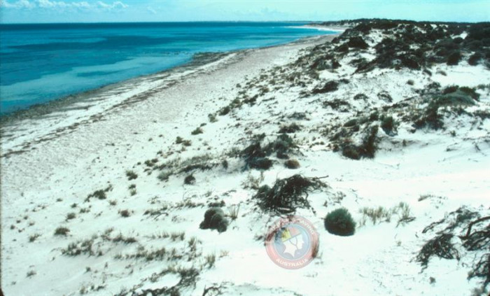 Tiparra Rocks - Beach in Balgowan Yorke Peninsula SA - SLS Beachsafe
