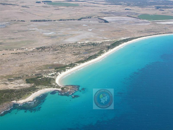 Tomahawk Point (W) - Beach in Tomahawk Dorset TAS - SLS Beachsafe
