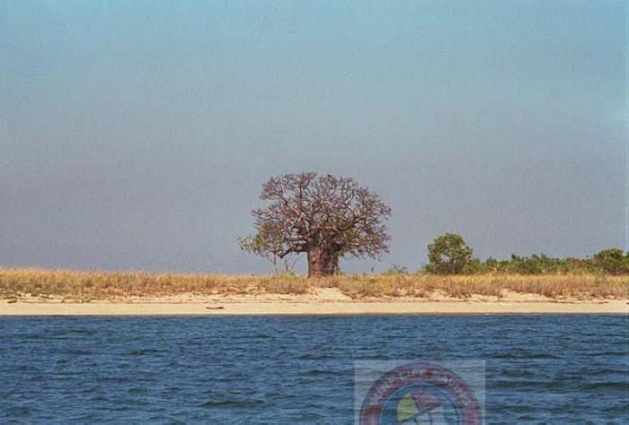 Truscott (S 3) - Beach in Drysdale River Wyndham-East Kimberley WA ...