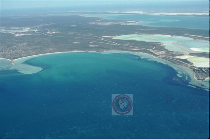 Useless Loop (S 1) - Beach in Useless Loop Shark Bay WA - SLS Beachsafe
