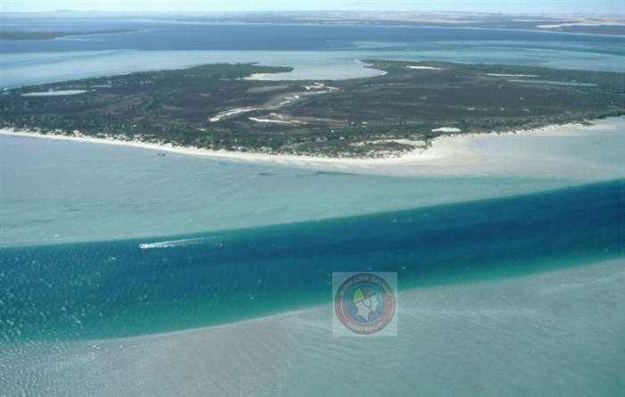 Venus Bay (jetty) - Beach in Venus Bay Elliston SA - SLS Beachsafe