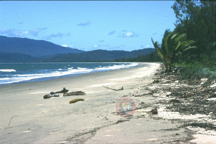 Weary Bay - Beach in Ayton Cook QLD - SLS Beachsafe