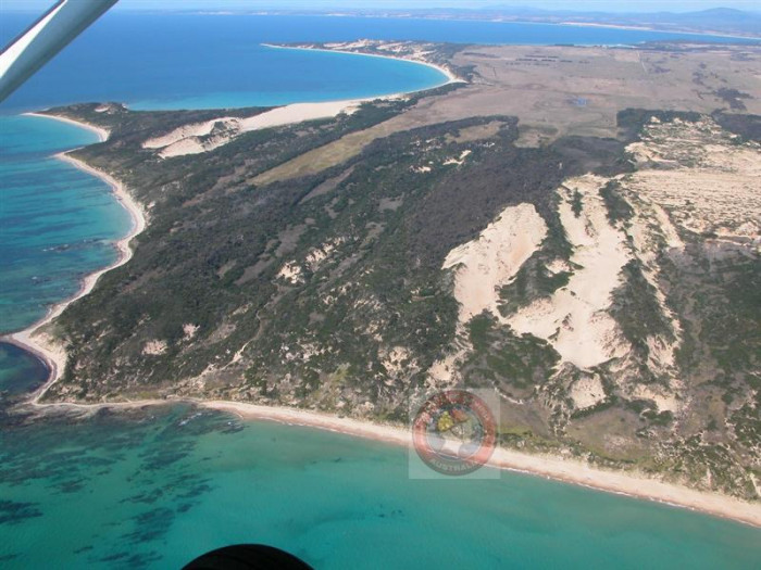 West Sandy Point (W 1) - Beach in Bellingham George Town TAS - SLS ...