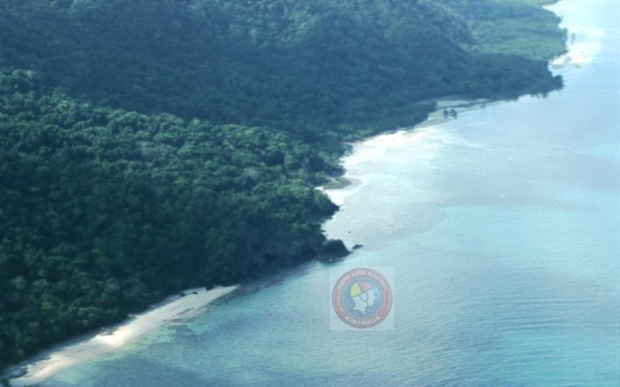 Whalebone Beach - Beach in Rossville Cook QLD - SLS Beachsafe