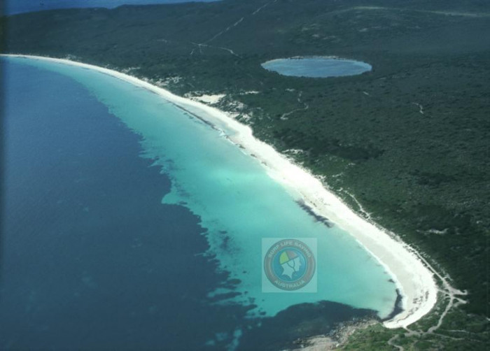 Whalebone Pt - Beach in Bremer Bay Jerramungup WA - SLS Beachsafe