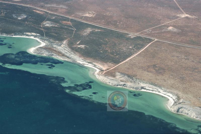 Whalebone Road (S 1) - Beach in Nanga Shark Bay WA - SLS Beachsafe