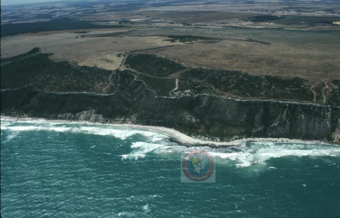 White Cliffs (N) - Beach in Horrocks Northampton WA - SLS Beachsafe