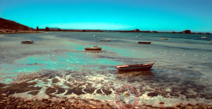 Whyalla boat ramp - Beach in Whyalla Whyalla SA - SLS Beachsafe