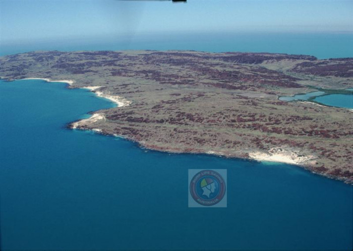 Withnell Bay (W) - Beach in Burrup Roebourne WA - SLS Beachsafe