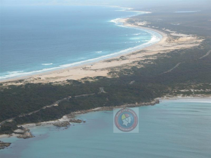 Blanche Point (E 1) - Beach in Akaroa Break O'Day TAS - SLS Beachsafe