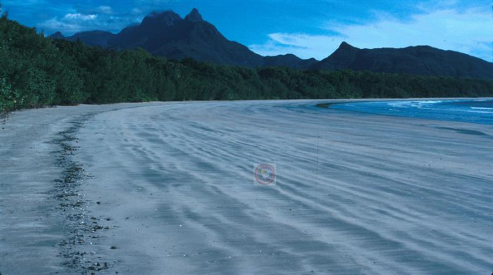 Zoe Bay - Beach in Lucinda Hinchinbrook QLD - SLS Beachsafe