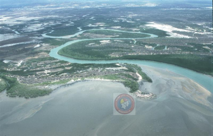 Bolhe River - Beach in Bushland Beach Townsville QLD - SLS Beachsafe