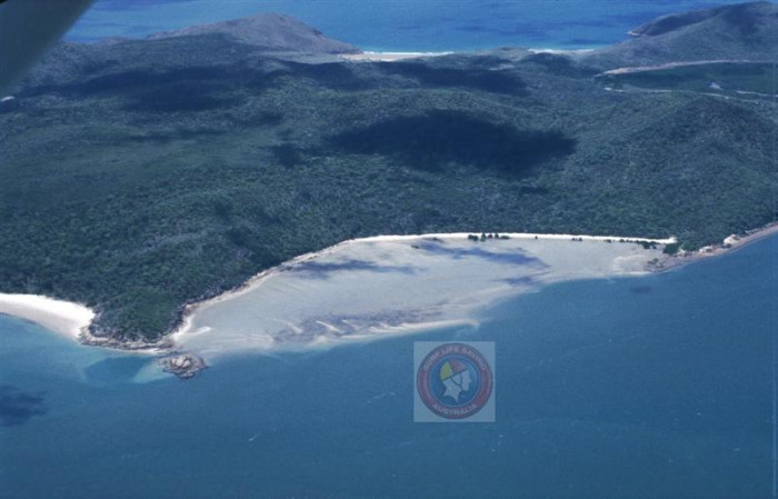 Bullock Point - Beach in Stockyard Rockhampton QLD - SLS Beachsafe