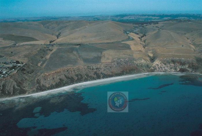 Cactus Canyon - Beach in Sellicks Beach Onkaparinga SA - SLS Beachsafe