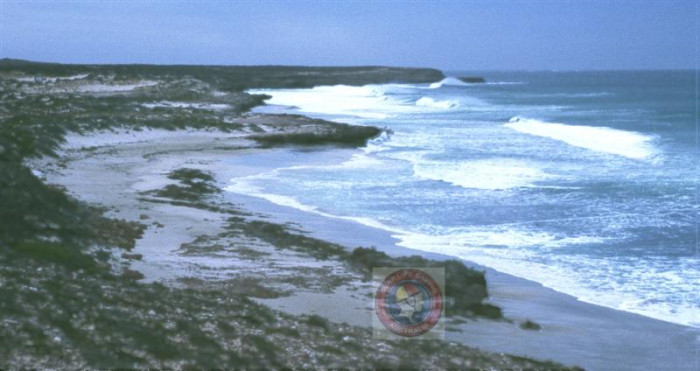 Cape Adieu - Beach in Coorabie Unincorporated SA SA - SLS Beachsafe