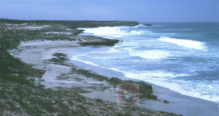 Cape Adieu - Beach in Coorabie Unincorporated SA SA - SLS Beachsafe