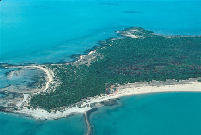 Cape Barrow (S 1) - Beach in Milyakburra Darwin NT - SLS Beachsafe