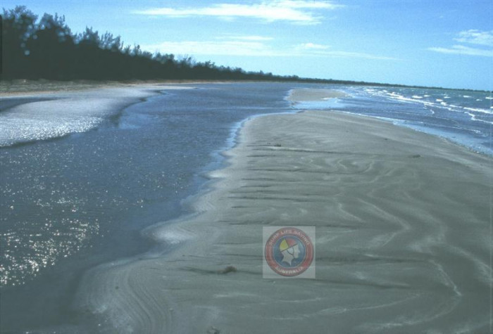 Cape Barrow (S 4) - Beach in Milyakburra Darwin NT - SLS Beachsafe