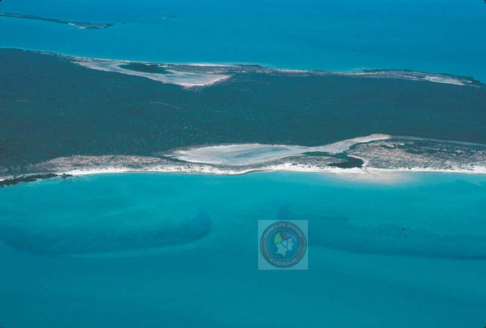 Anjo Peninsula (W 4) - Beach in Drysdale River Wyndham-East Kimberley ...