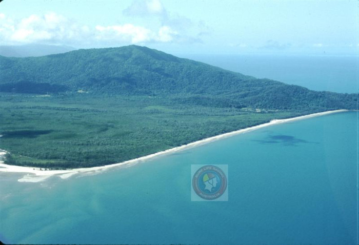 Cape Kimberley (south) - Beach in Kimberley Cairns QLD - SLS Beachsafe