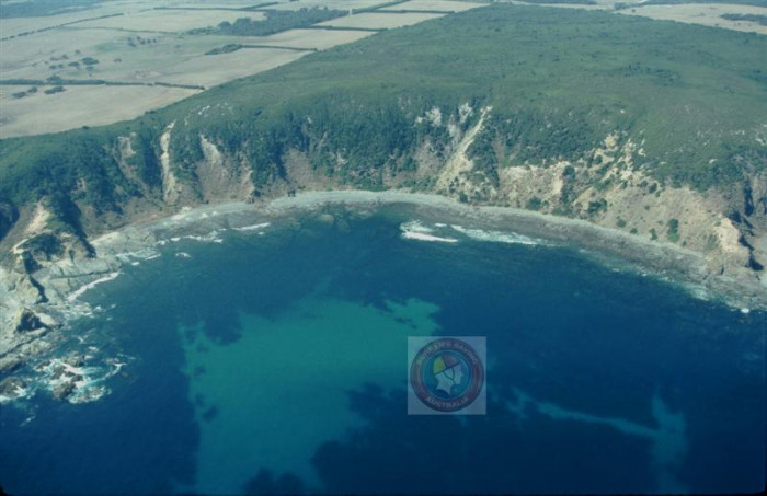 CAPE LIPTRAP - Beach in Walkerville South South Gippsland VIC - SLS ...