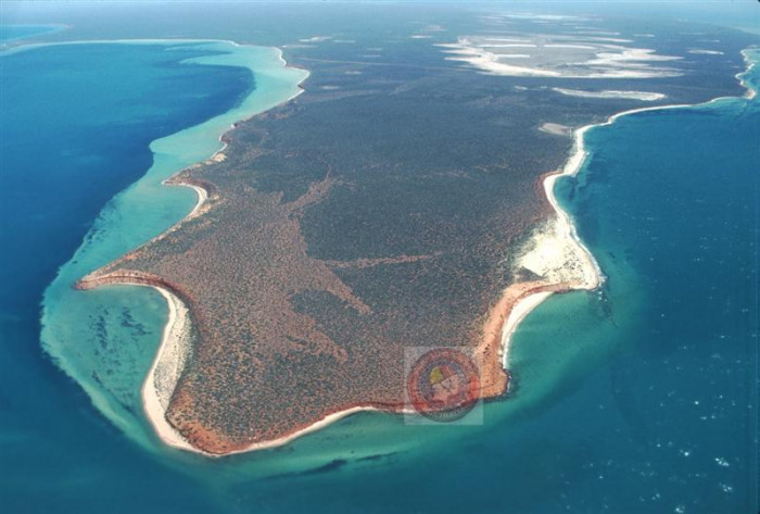 Cape Peron North (E) - Beach in Francois Peron National Park Shark Bay ...