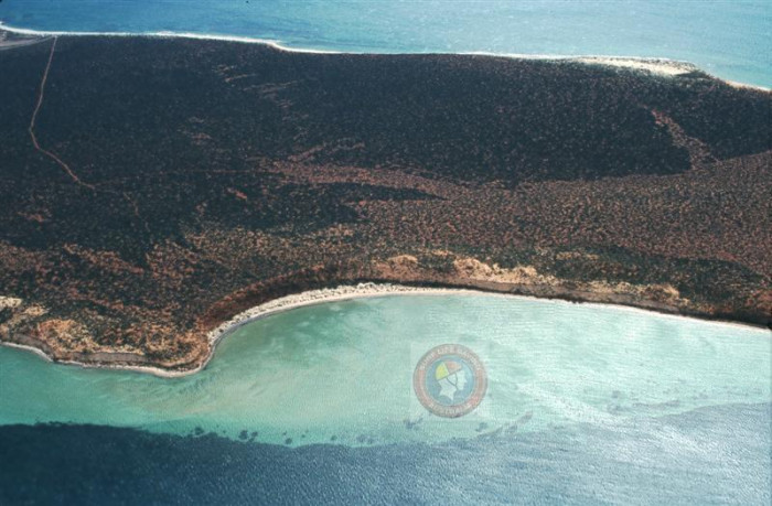 Cape Peron North (S 1) - Beach in Francois Peron National Park Shark ...
