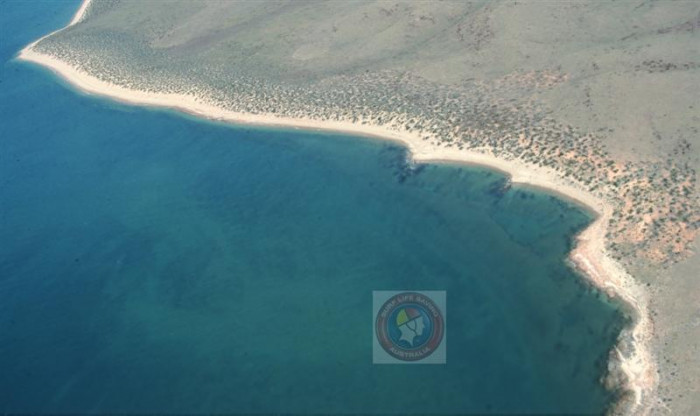 Cape Preston (E 1) - Beach in Gnoorea Roebourne WA - SLS Beachsafe