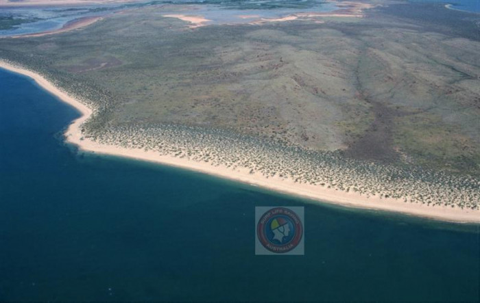 Cape Preston spit - Beach in Gnoorea Roebourne WA - SLS Beachsafe