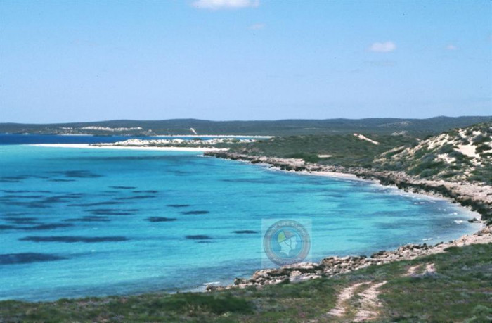 Cape Ransonnet (W) - Beach in Useless Loop Shark Bay WA - SLS Beachsafe