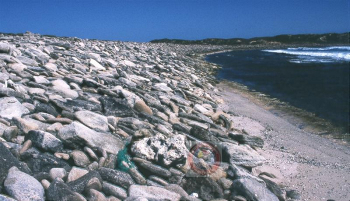 Catfish Bay - Beach in Useless Loop Shark Bay WA - SLS Beachsafe
