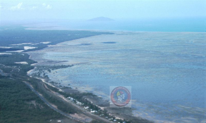 Clairview - Beach in Clairview Isaac QLD - SLS Beachsafe