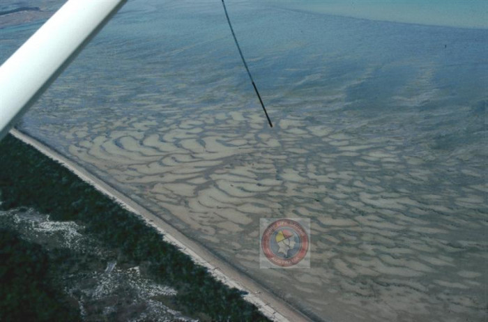 Clairview Island - Beach in Clairview Isaac QLD - SLS Beachsafe