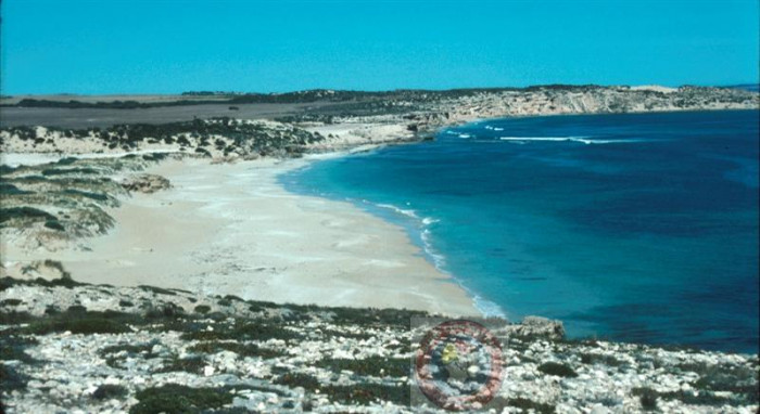 Constance Bay (north) - Beach in White Hut Yorke Peninsula SA - SLS ...