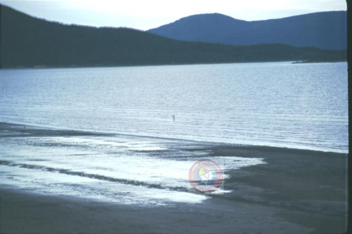 Conway Beach - Beach in Conway Beach Whitsunday QLD - SLS Beachsafe