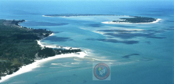 Crab Island - Beach in Umagico Northern Peninsula Area QLD - SLS Beachsafe